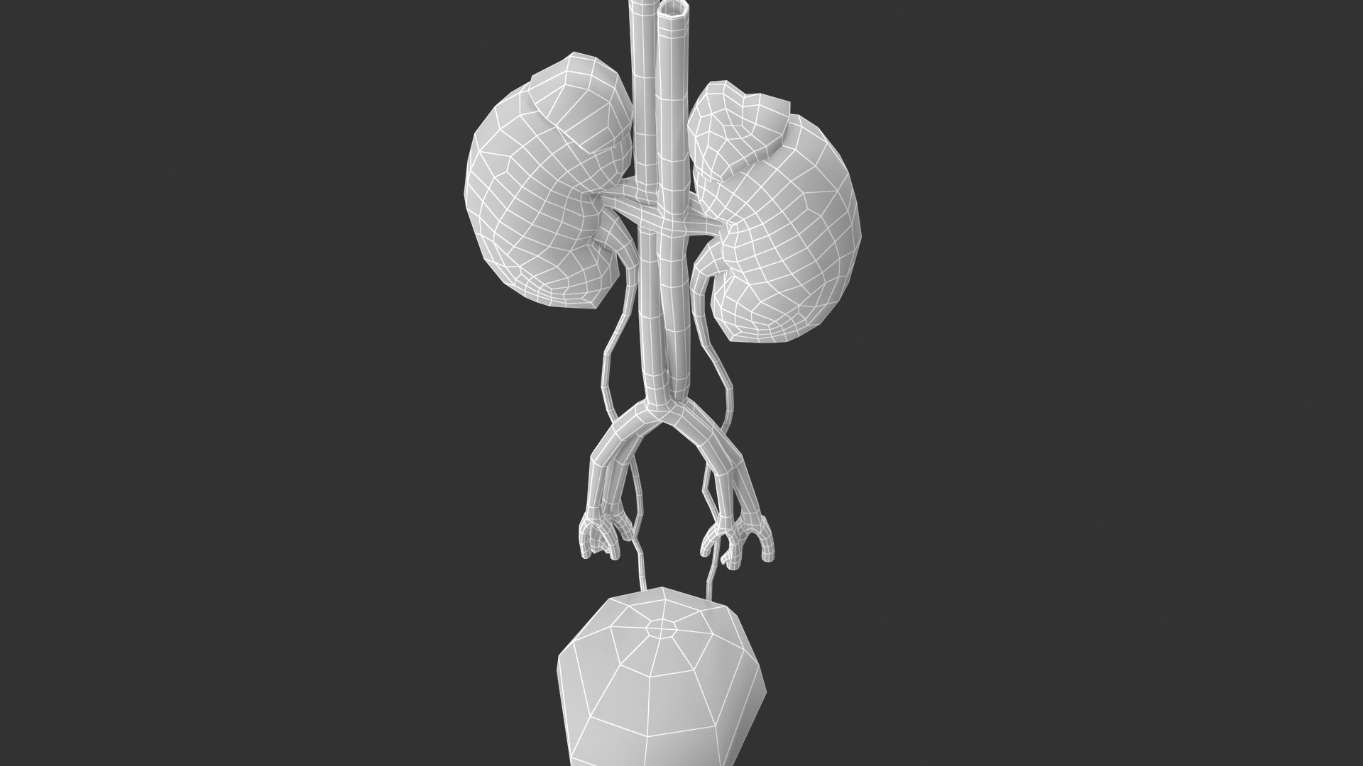 3D Urinary System - TurboSquid 1781104