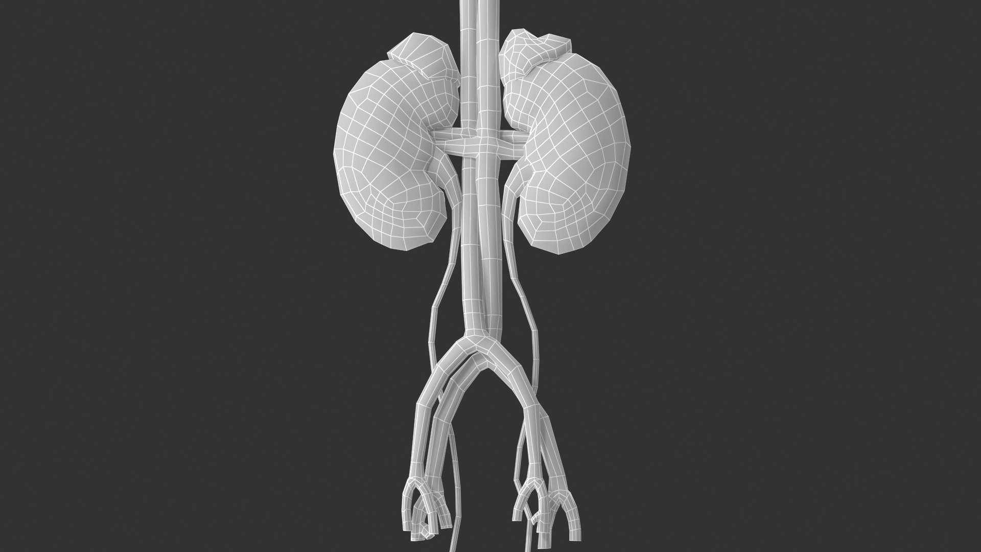 3D Urinary System - TurboSquid 1781104