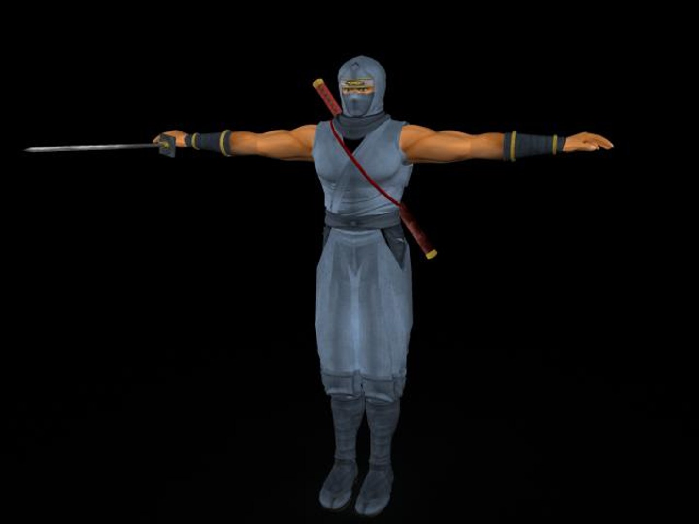 Ninga Man 3d Model