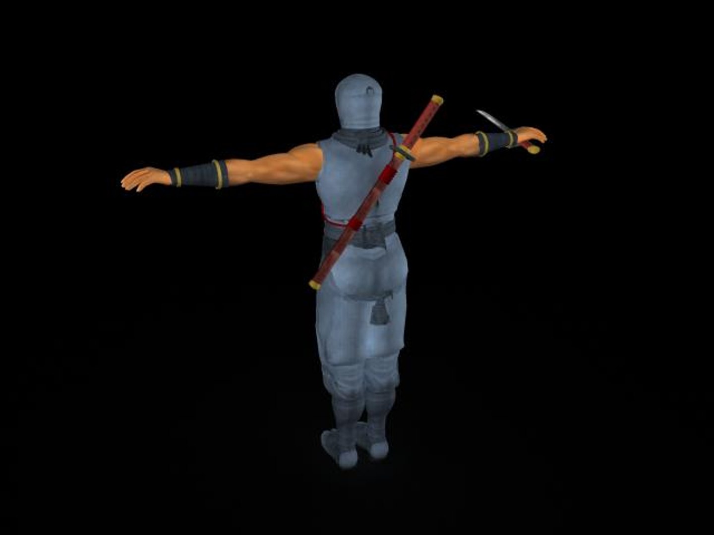 Ninga Man 3d Model