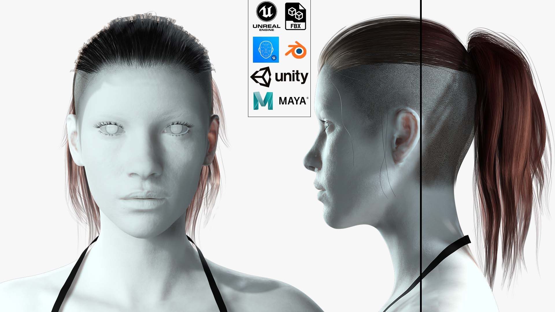 3D модель Realistic Female hair tail Low-poly - TurboSquid 2029386