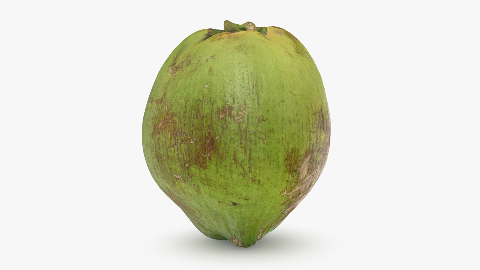 3D Green Coconut 02 - TurboSquid 2318885