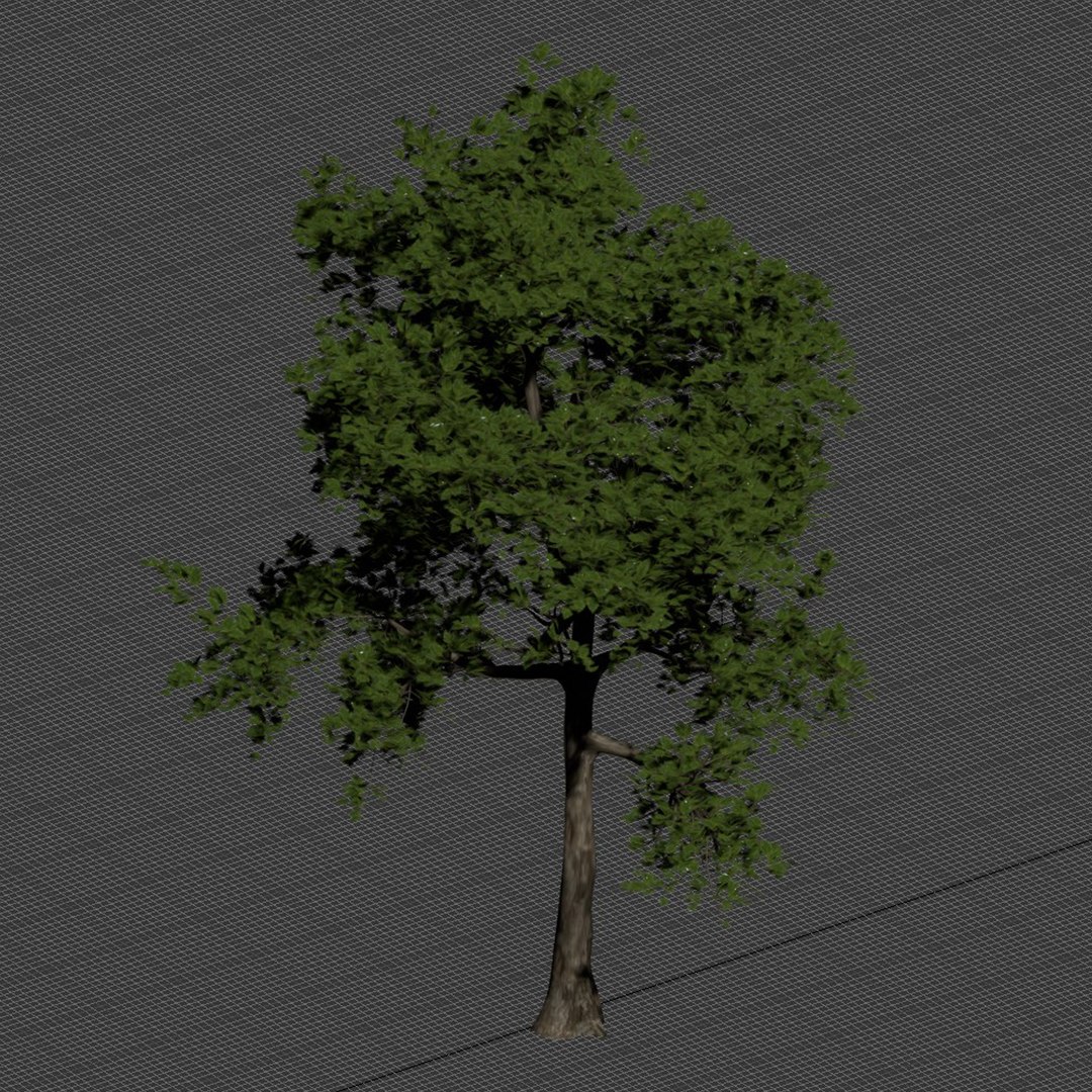 Animated Growing Tree 3d Model Vol 100 3D Model - TurboSquid 2161663