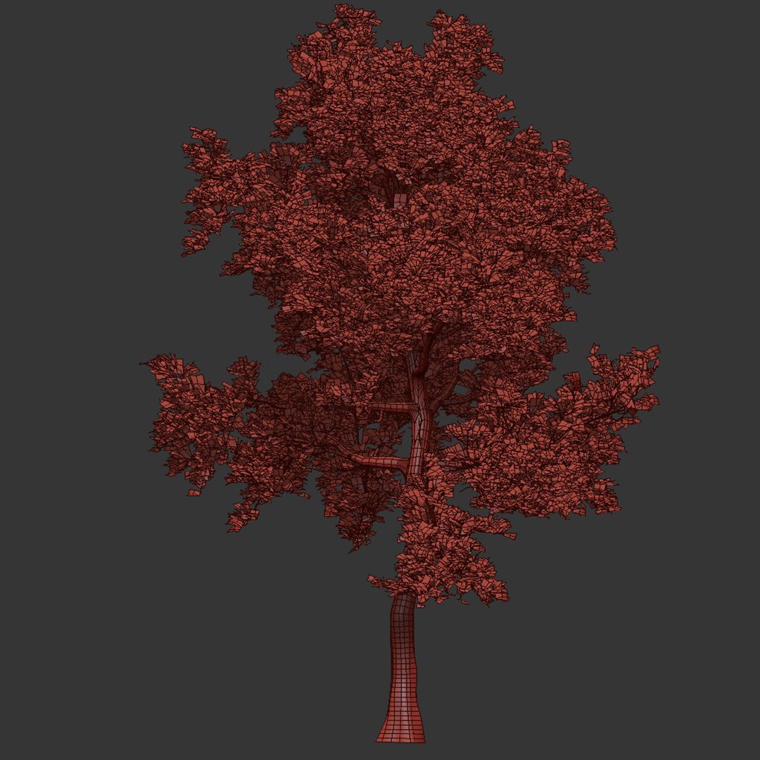 Animated Growing Tree 3d Model Vol 100 3D Model - TurboSquid 2161663