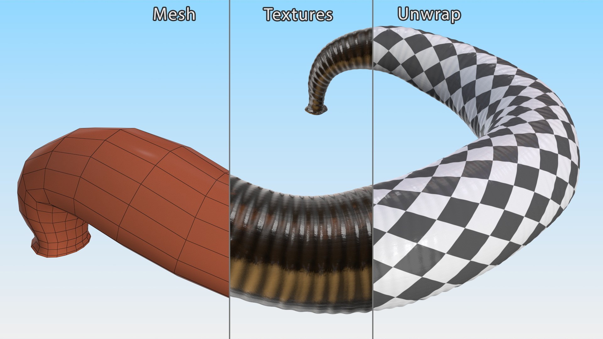 3D Sucking Medicinal Leech Model - TurboSquid 2086214