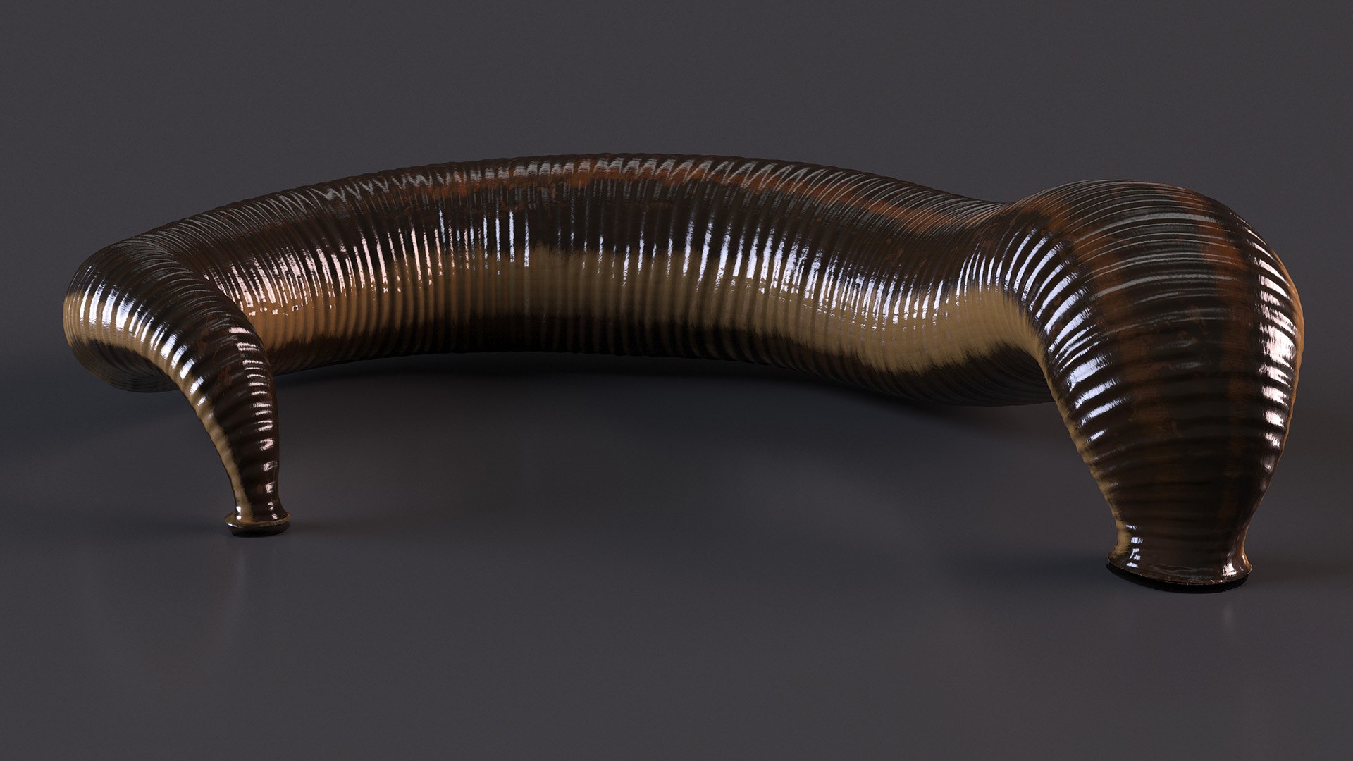3D Sucking Medicinal Leech Model - TurboSquid 2086214