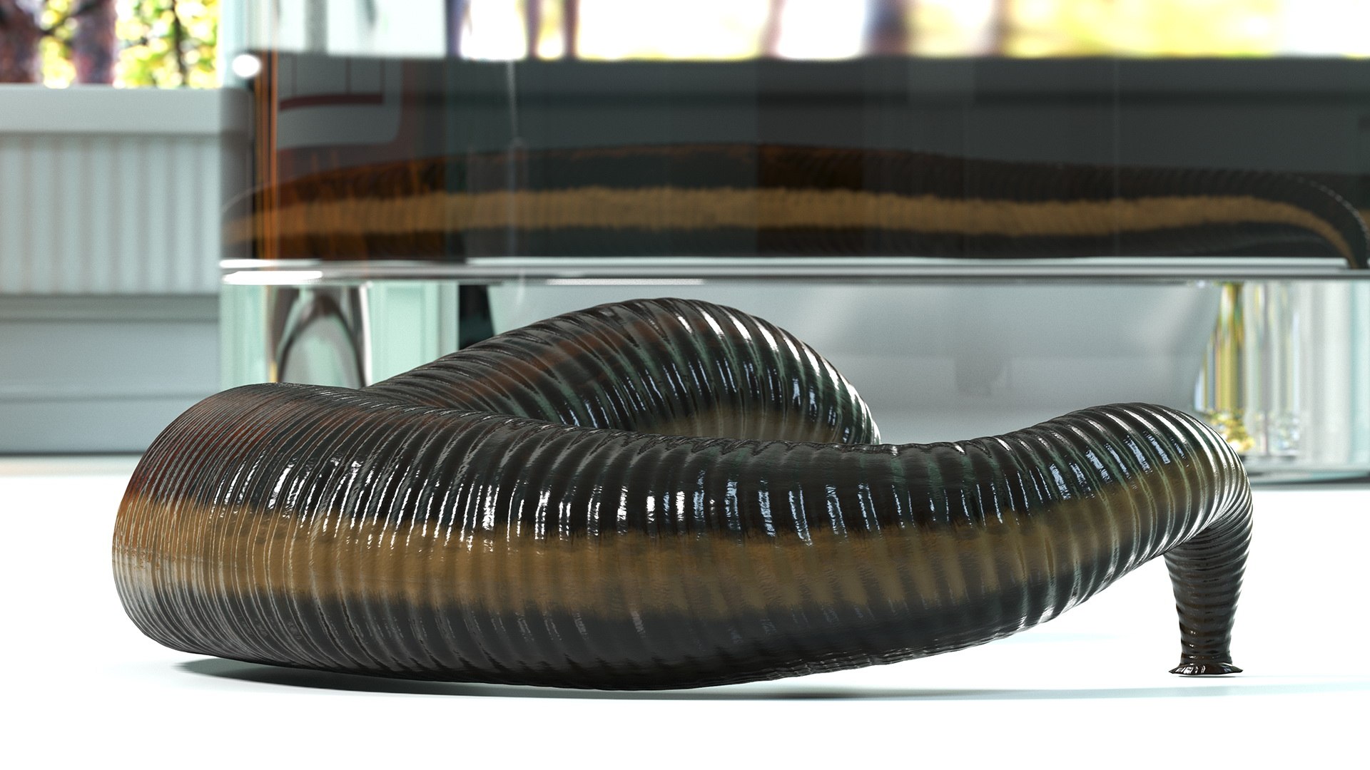 3D Sucking Medicinal Leech Model - TurboSquid 2086214