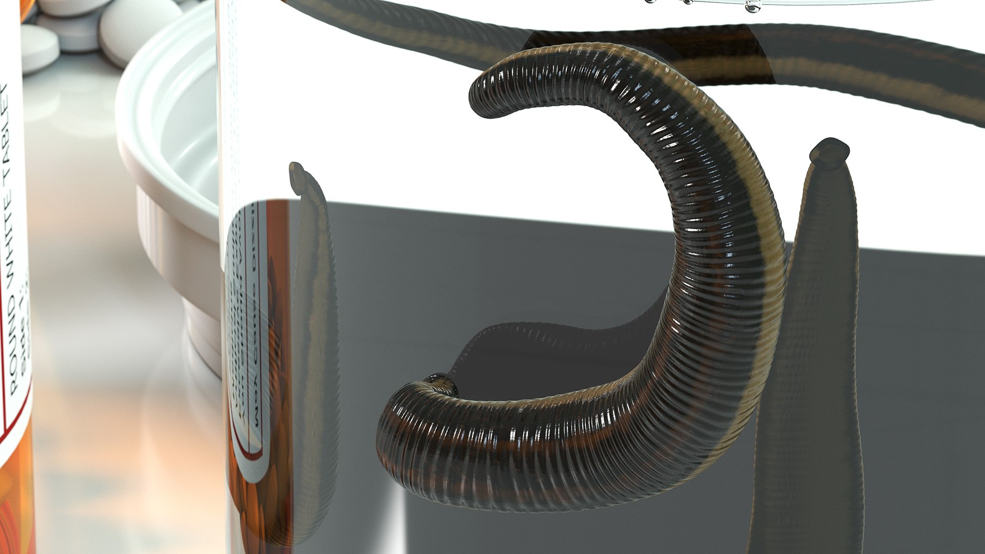 3D Sucking Medicinal Leech Model - TurboSquid 2086214