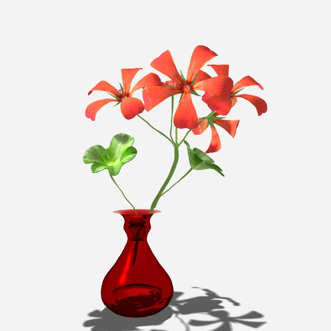 3D Geranium Flower Model - TurboSquid 1193281