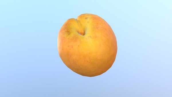 3D 03 apricot fruit modeled model - TurboSquid 1660513