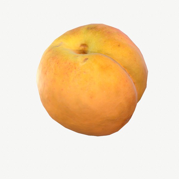 3D 03 apricot fruit modeled model - TurboSquid 1660513