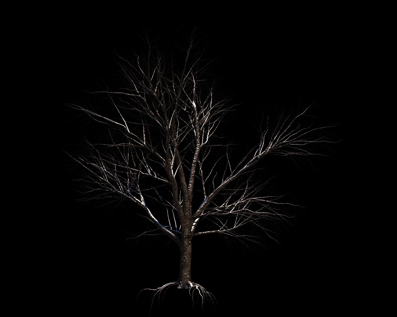 3D Model Winter Snow Covered Trees Parametric Material For V-ray Corona ...