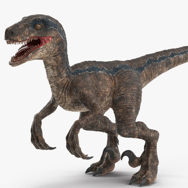 Raptor 3D Models for Download | TurboSquid