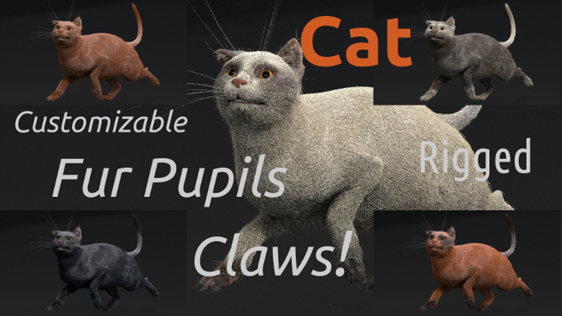 Customizable Rigged Cat 3d Blend