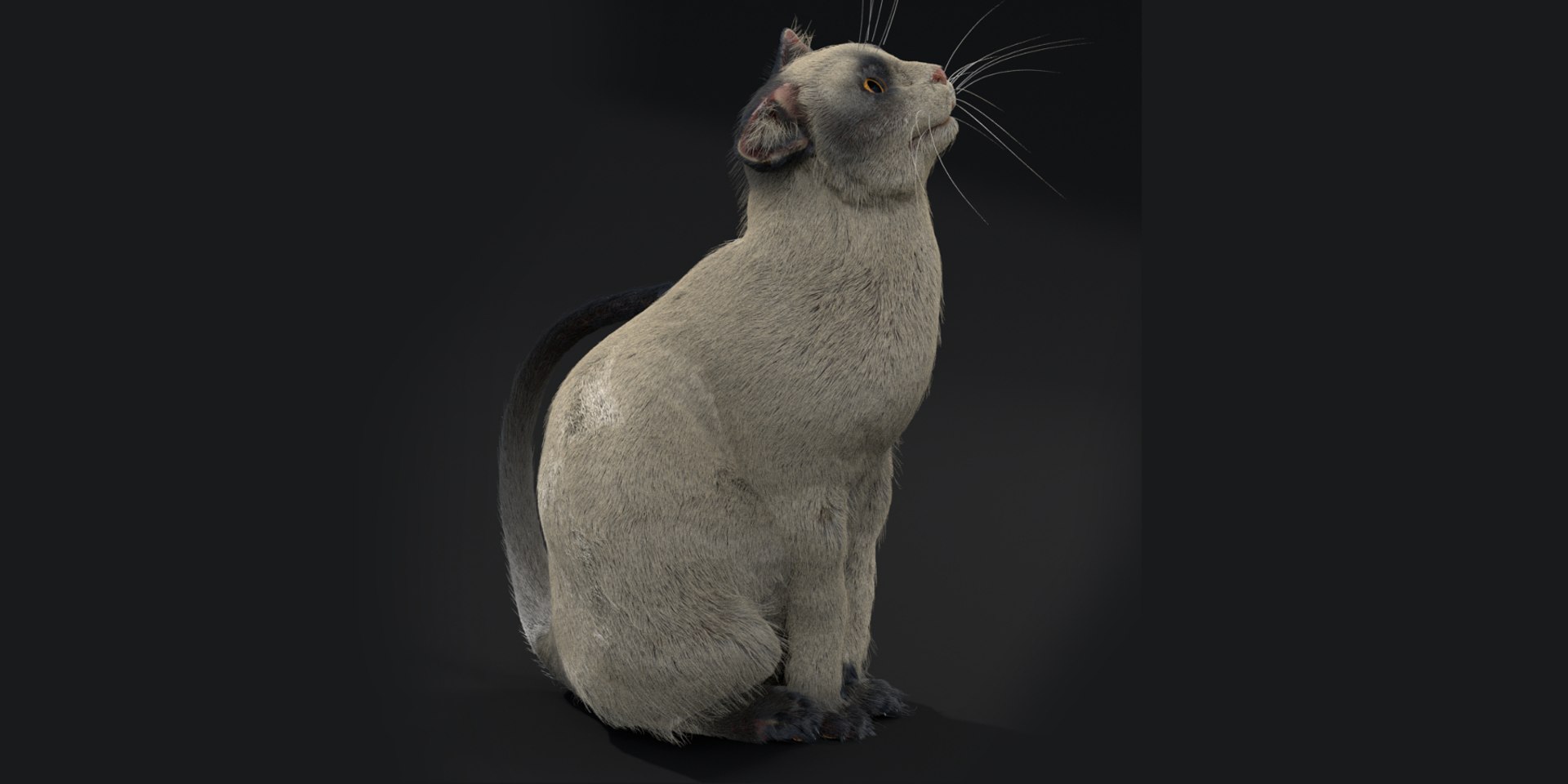 Customizable Rigged Cat 3d Blend
