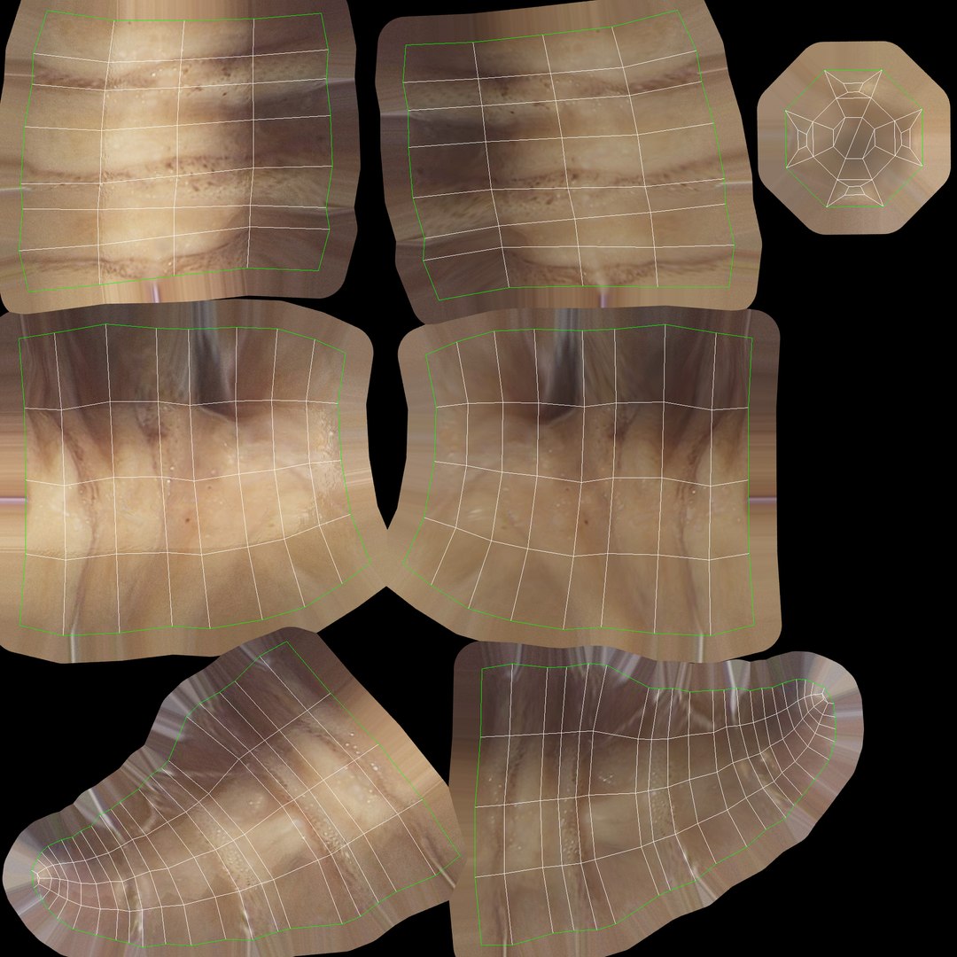 3d Model Of Maggot Modelled