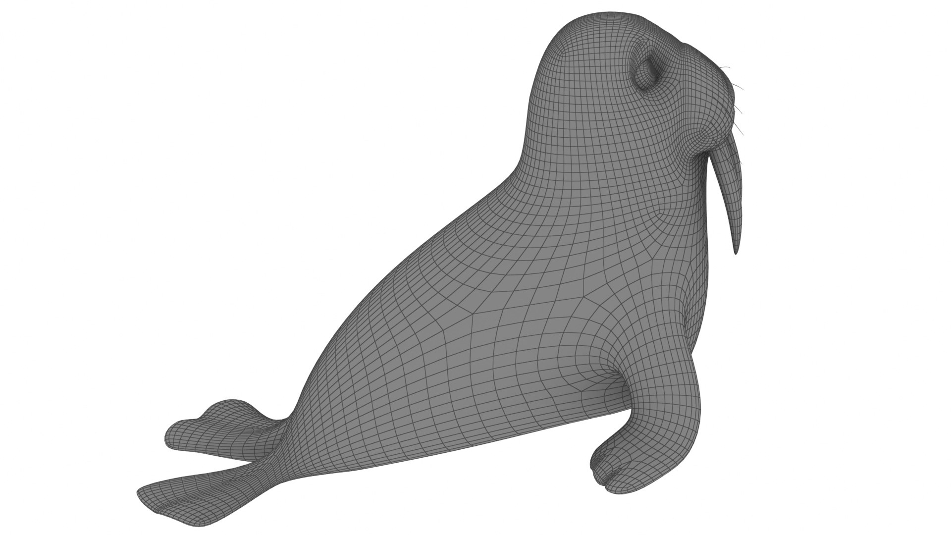 3D Cartoon Walrus - TurboSquid 2089047
