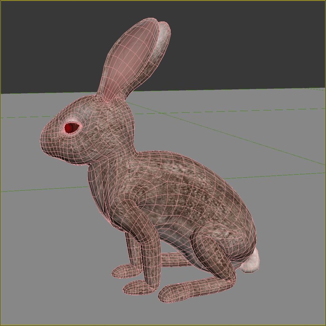 Rabbit Bunny Animation 3d Max
