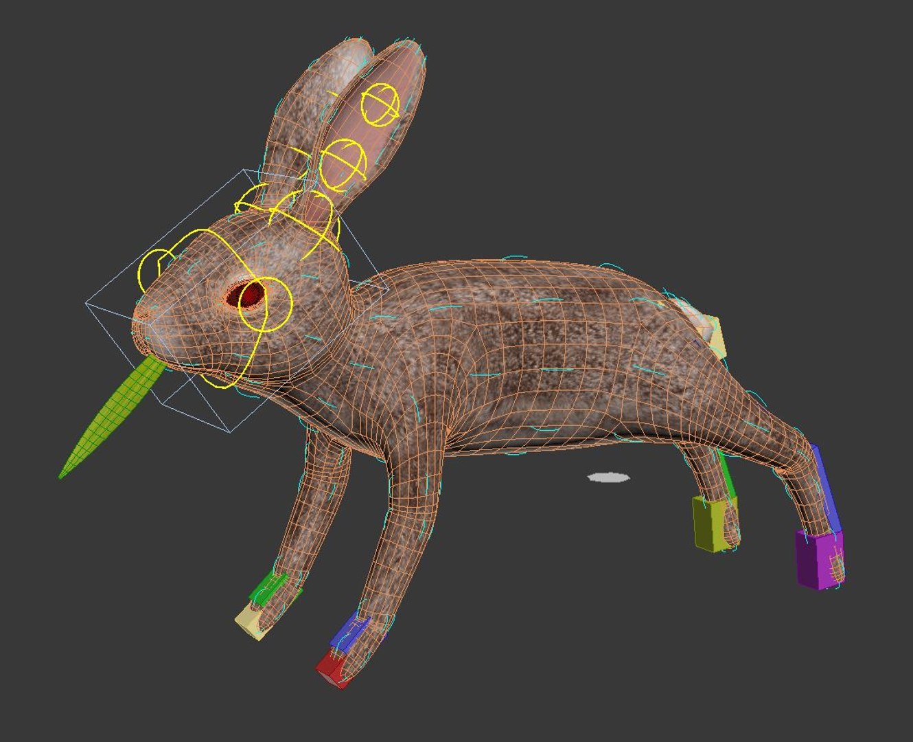 Rabbit Bunny Animation 3d Max