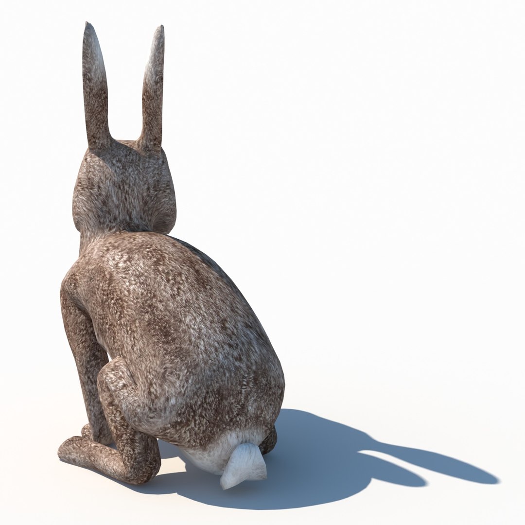 Rabbit Bunny Animation 3d Max