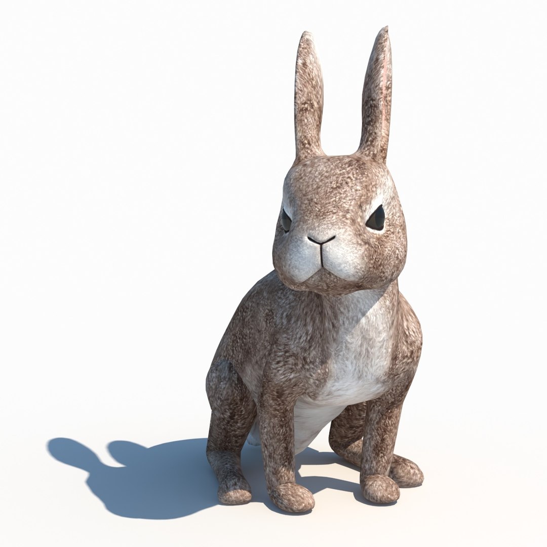 Rabbit Bunny Animation 3d Max