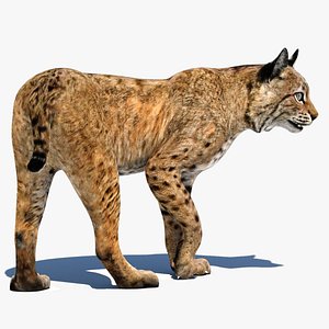 Free Animal Rig 3D Models For Download | Premium Quality Available