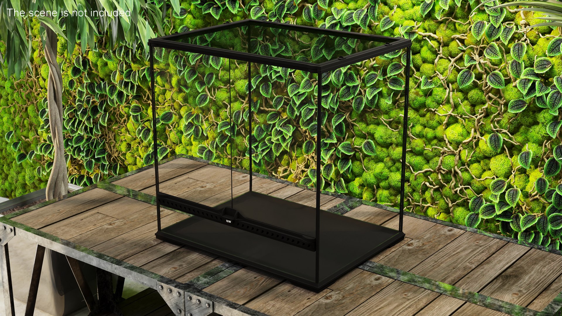 Big Empty Terrarium 3D model - TurboSquid 2146050