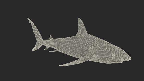 modelo 3d Tiburón de arrecife del Caribe - TurboSquid 2140984