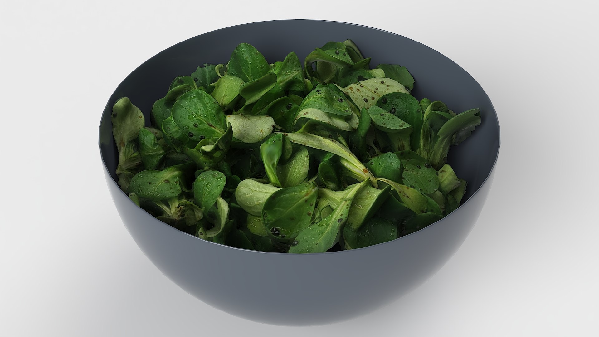 3D Salad 13 - TurboSquid 2061205