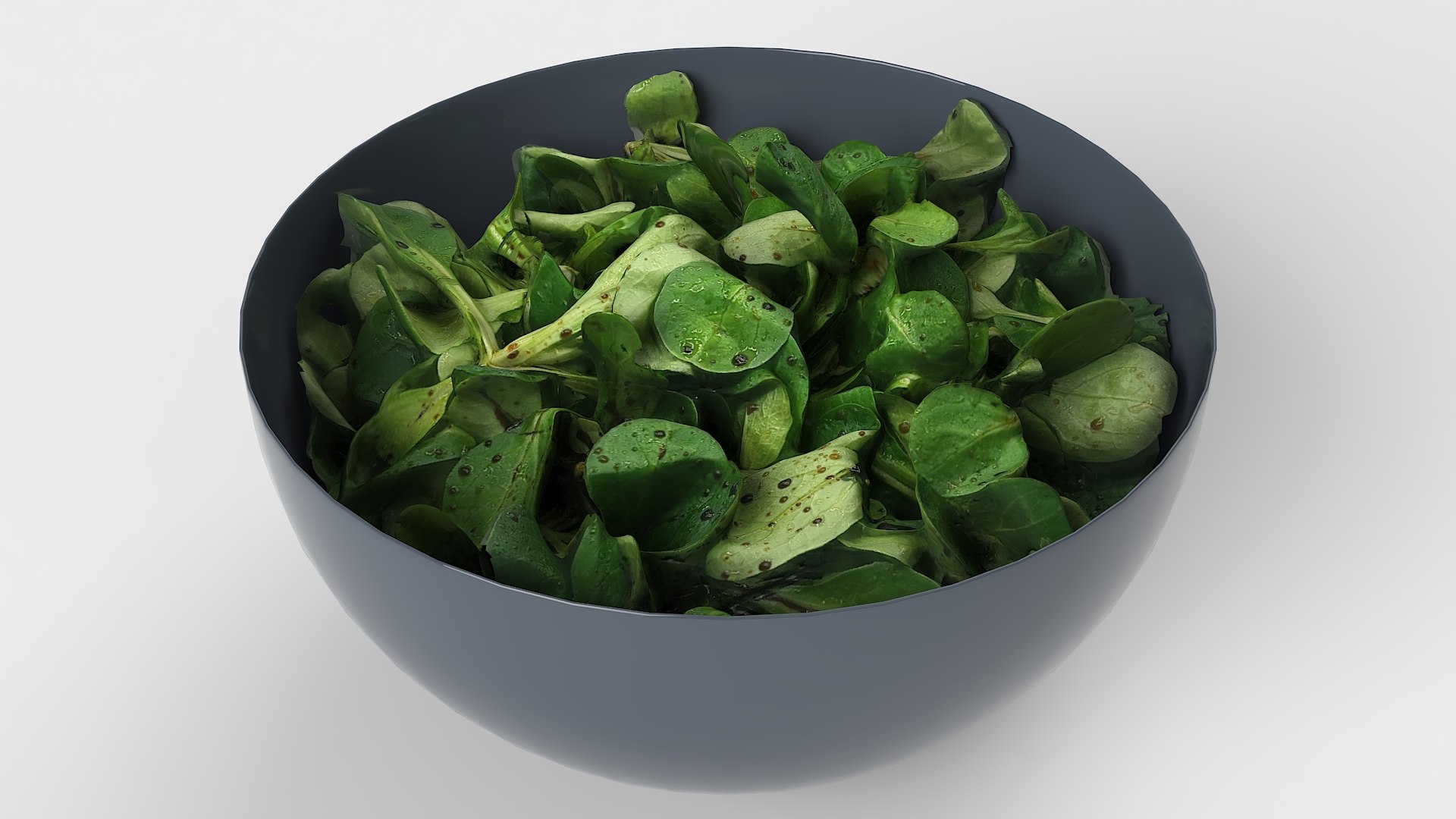 3D Salad 13 - TurboSquid 2061205