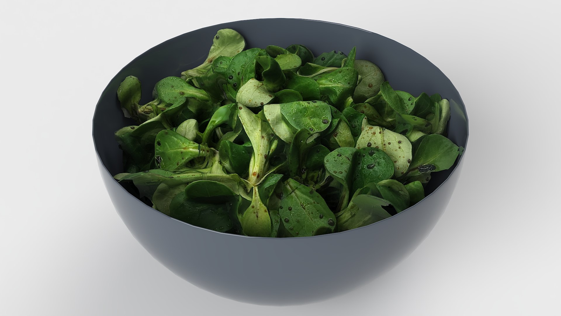 3D Salad 13 - TurboSquid 2061205