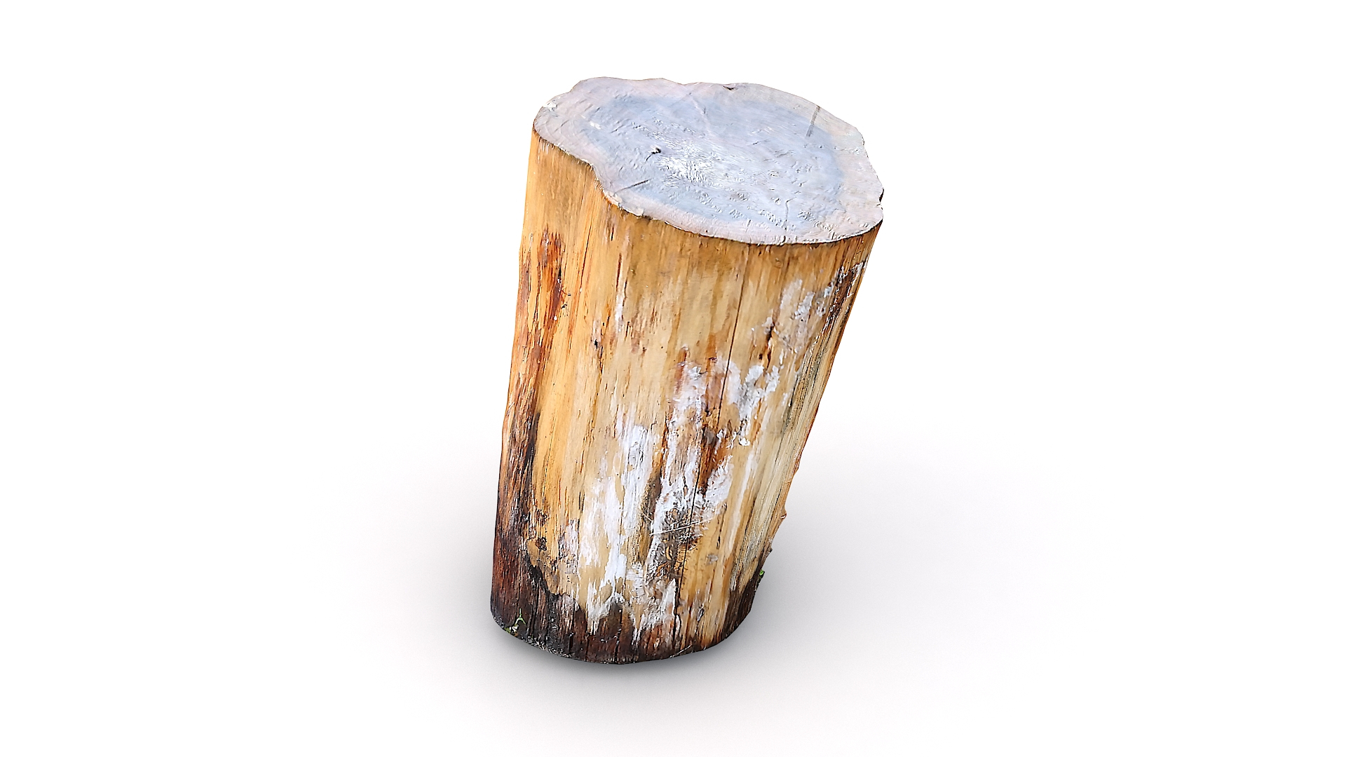 3D Model Wet Tree Trunk Stump - TurboSquid 1497190