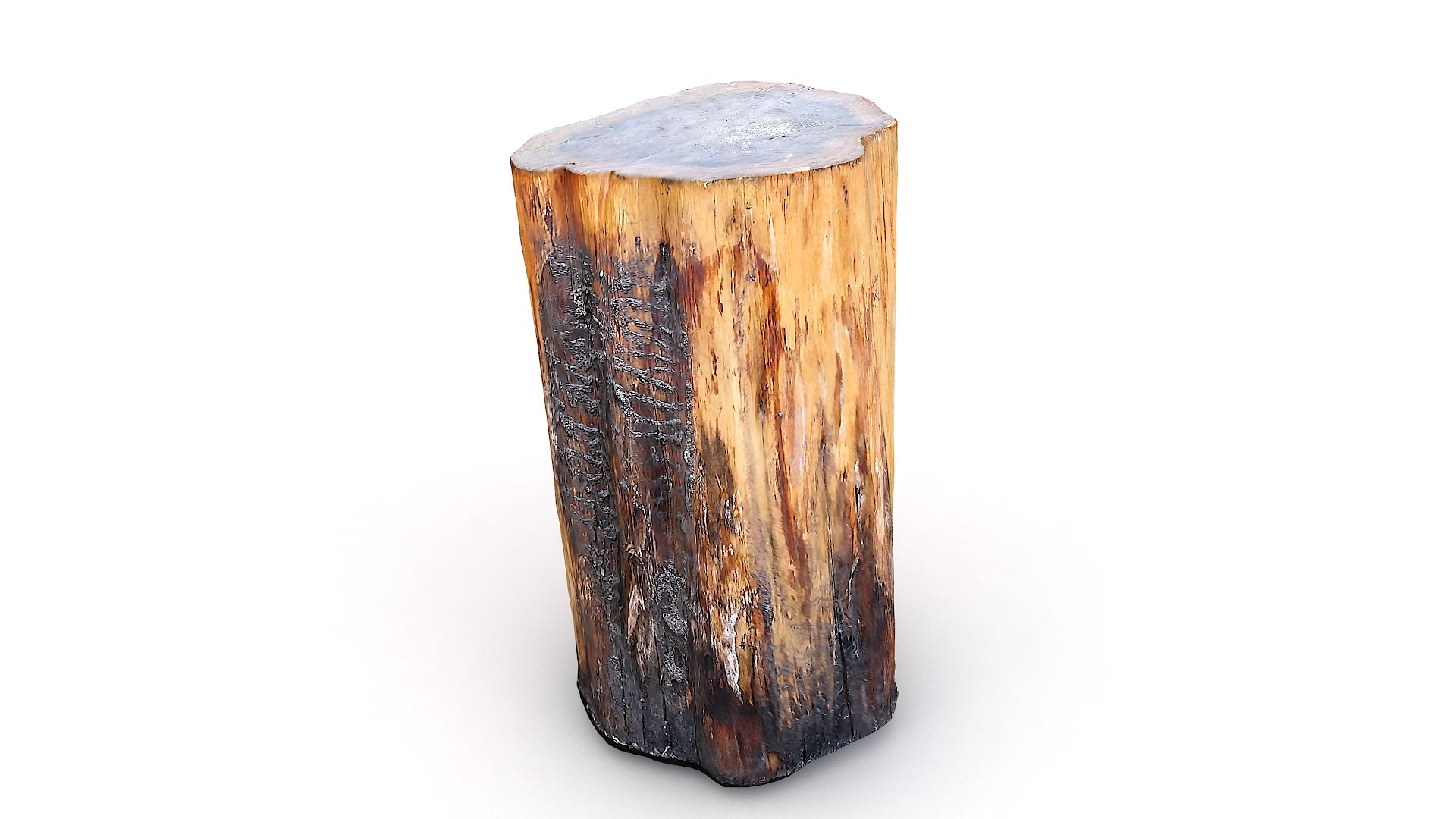 3D Model Wet Tree Trunk Stump - TurboSquid 1497190