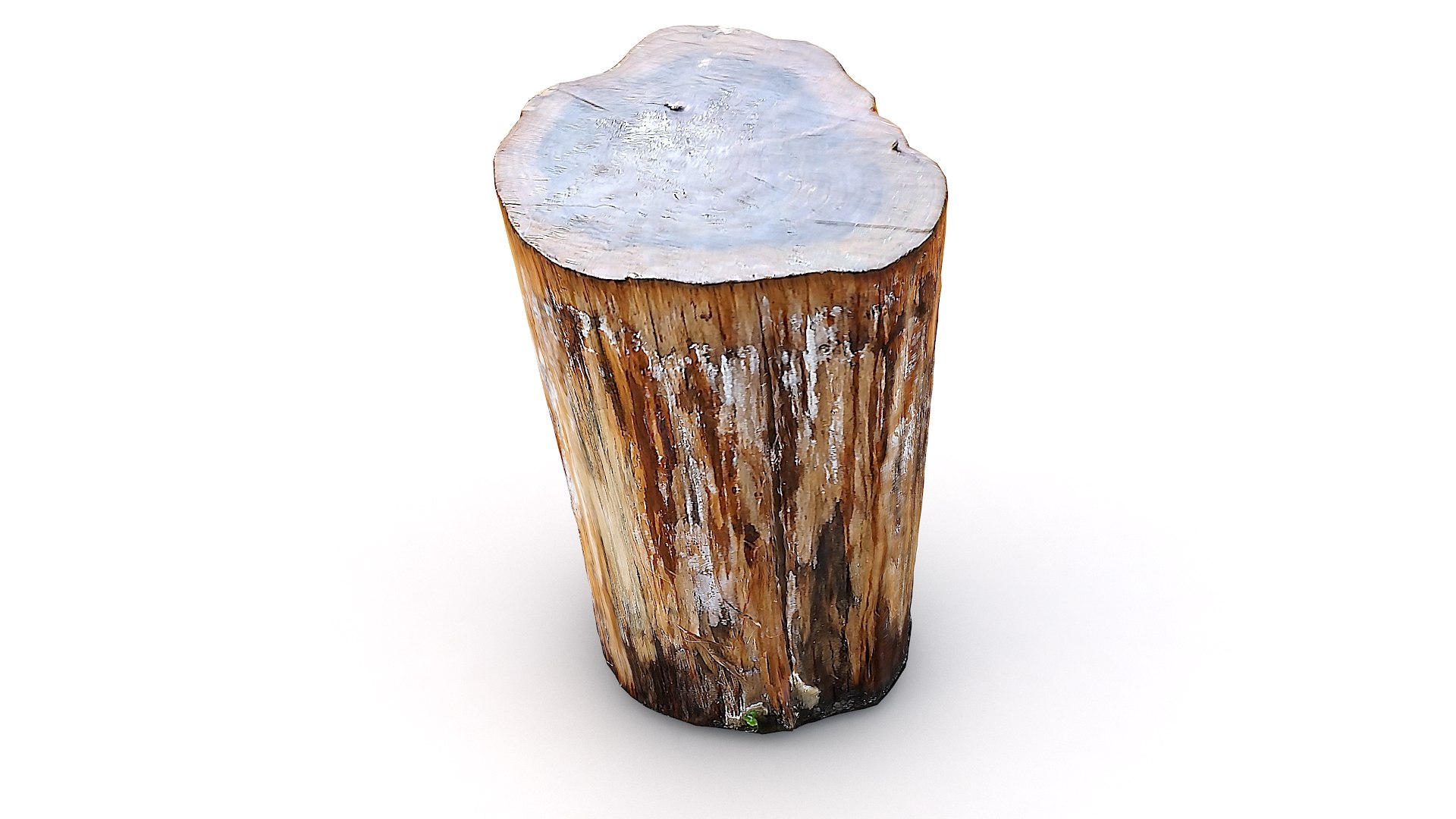 3D Model Wet Tree Trunk Stump - TurboSquid 1497190