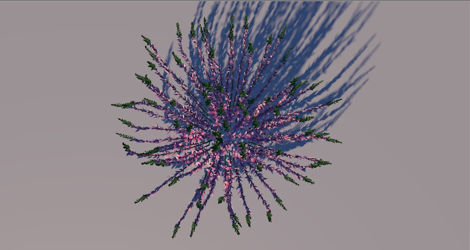 Calluna Flower 3D Model - TurboSquid 1475755