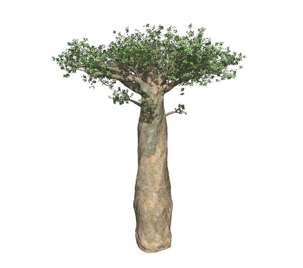 Rhino Tree Models | TurboSquid