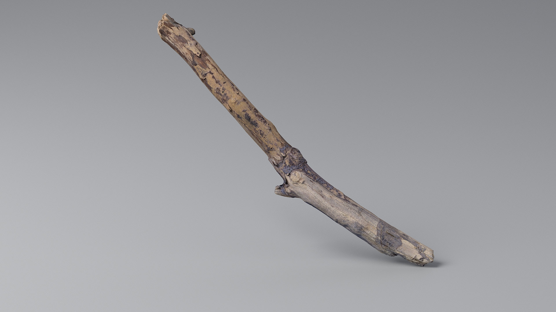 Twig 12 3D Model - TurboSquid 1964337