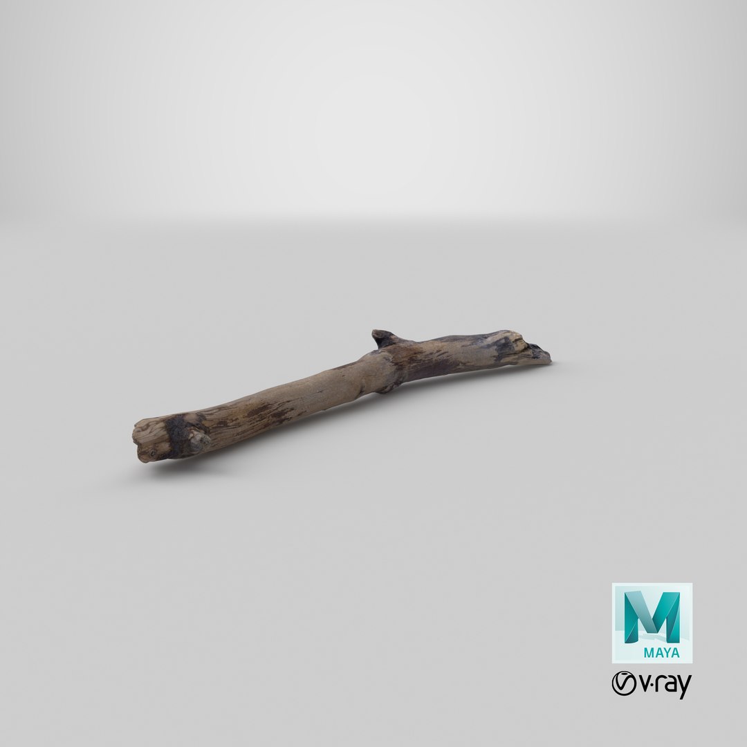 Twig 12 3D Model - TurboSquid 1964337
