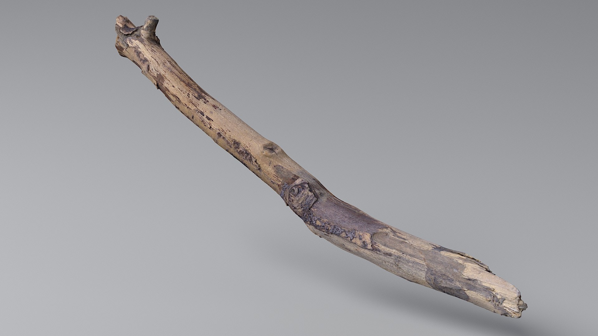 Twig 12 3D Model - TurboSquid 1964337