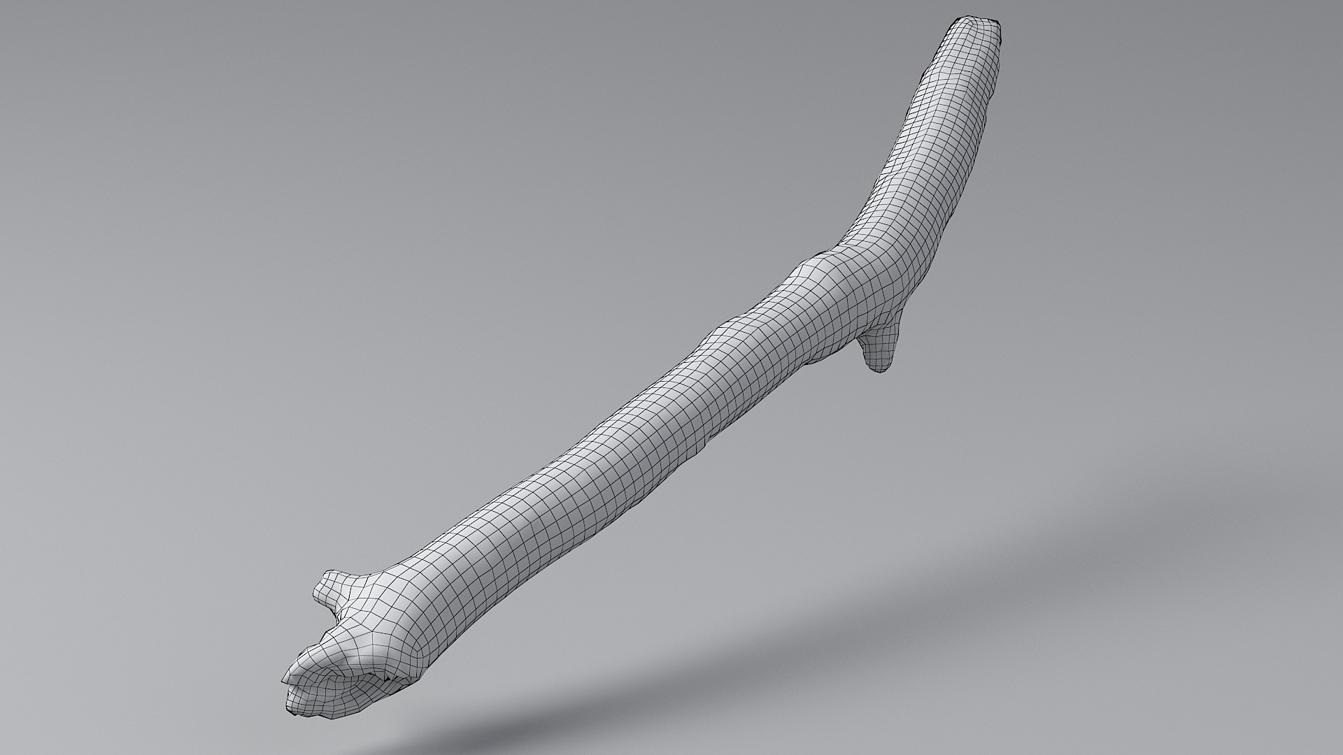 Twig 12 3D Model - TurboSquid 1964337