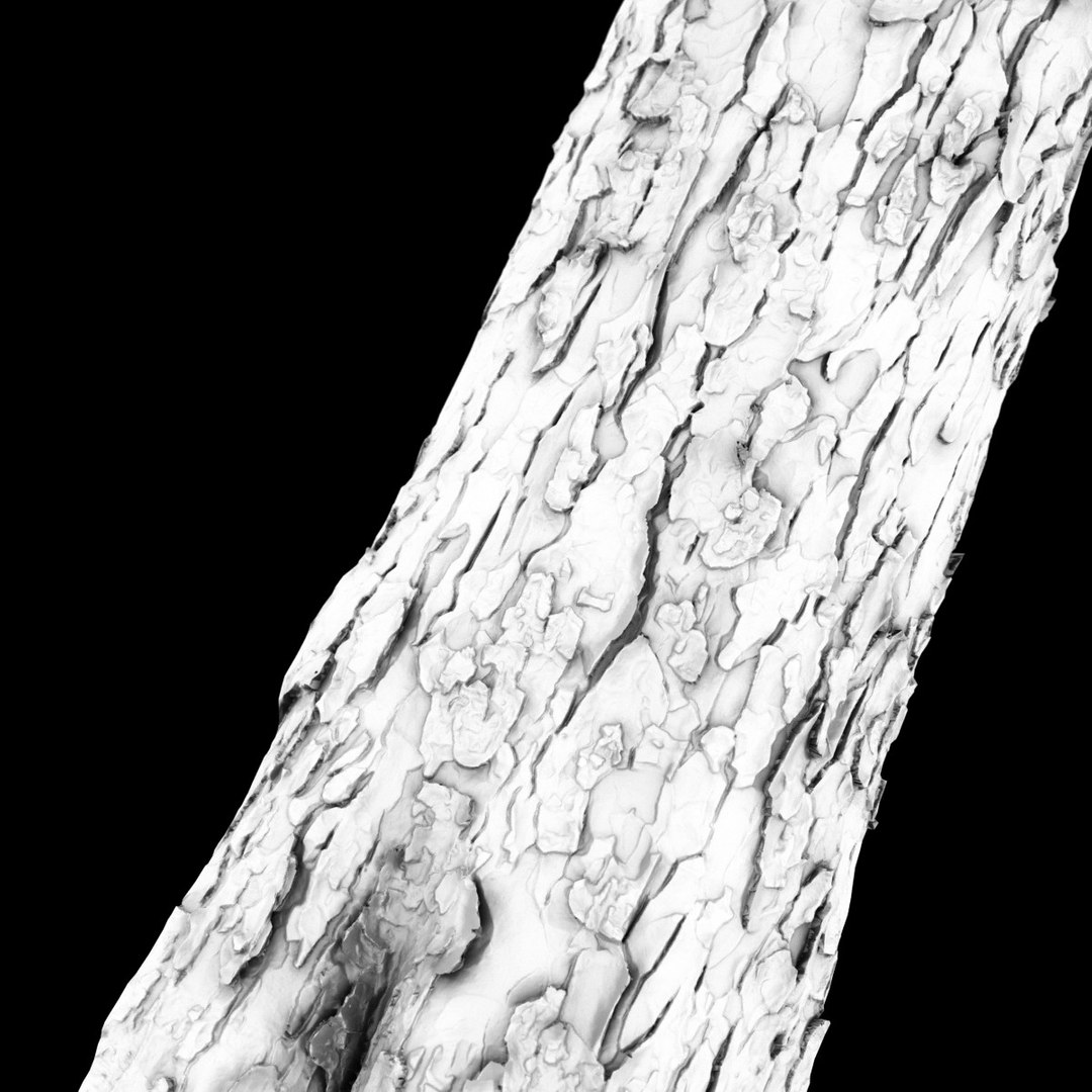 3d Model Environment Asset