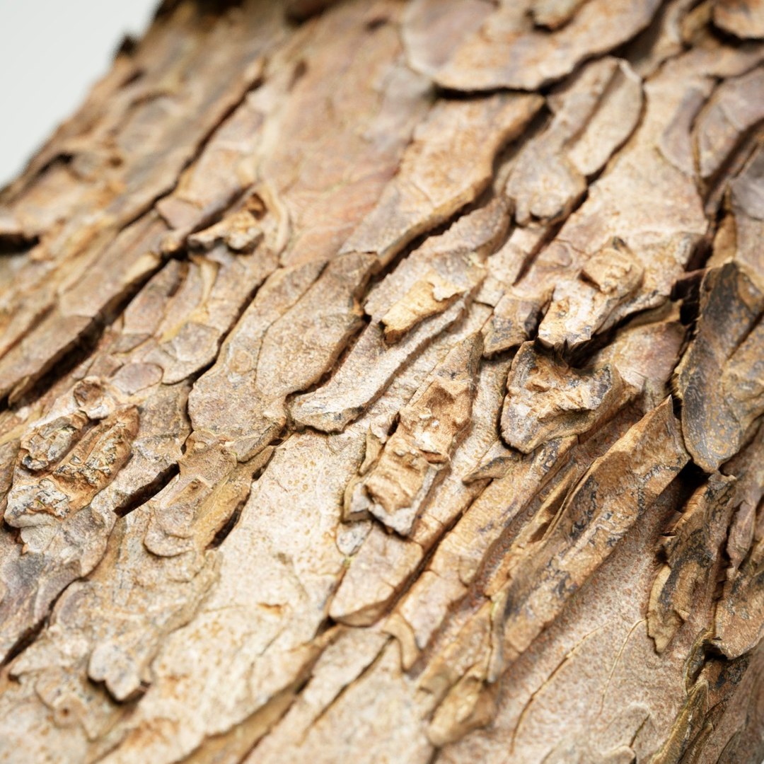 3d Model Environment Asset