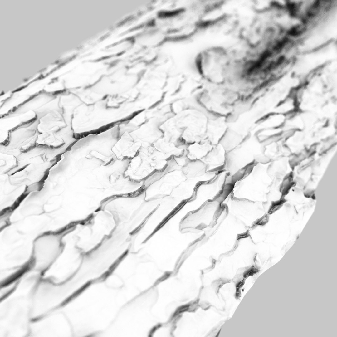 3d Model Environment Asset