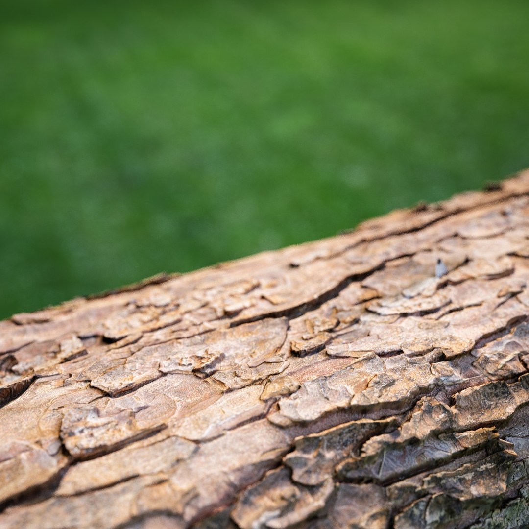 3d Model Environment Asset