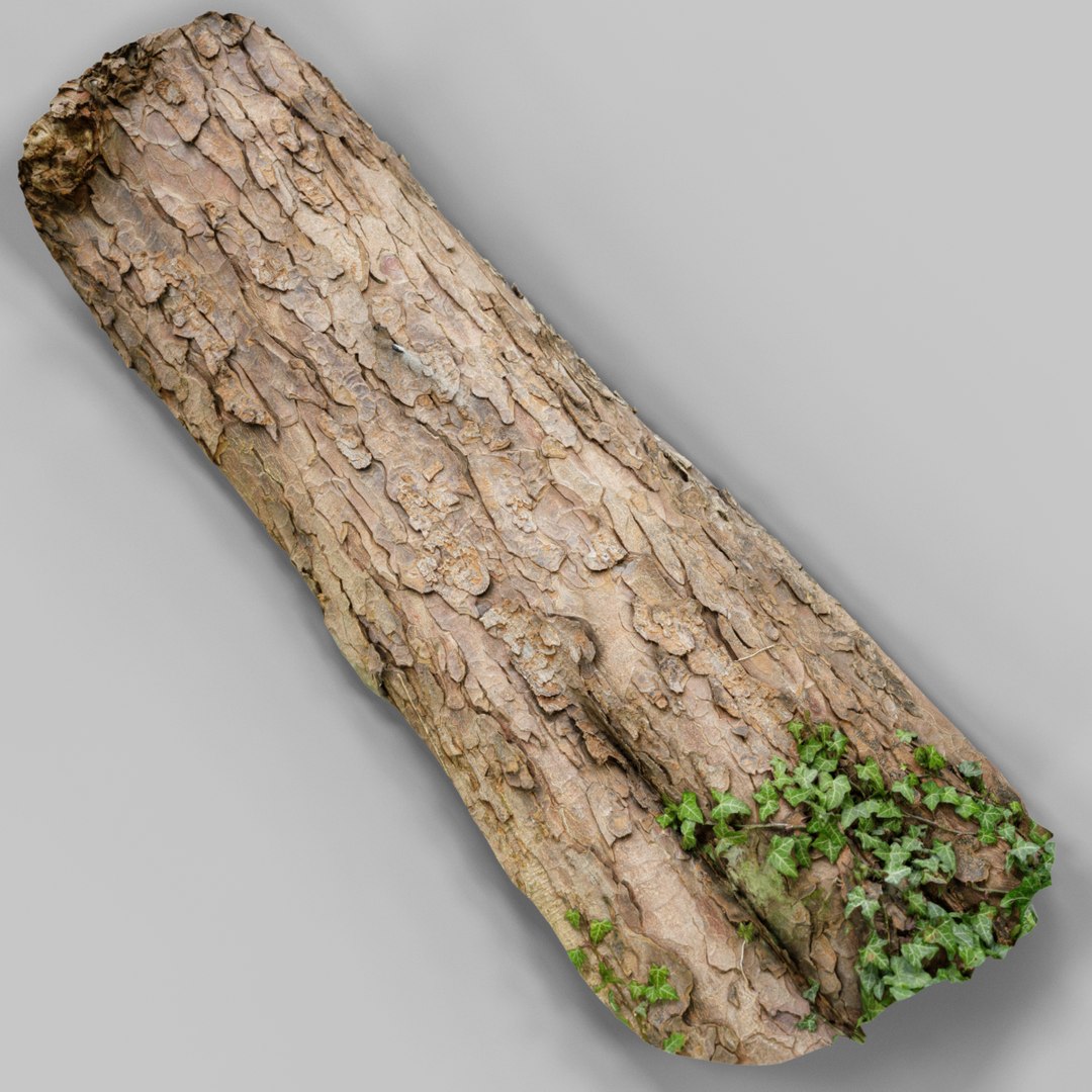 3d Model Environment Asset