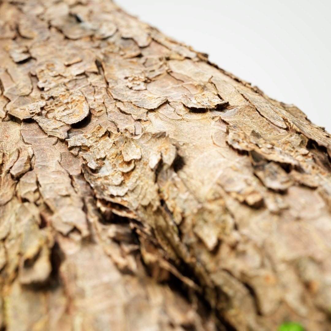 3d Model Environment Asset