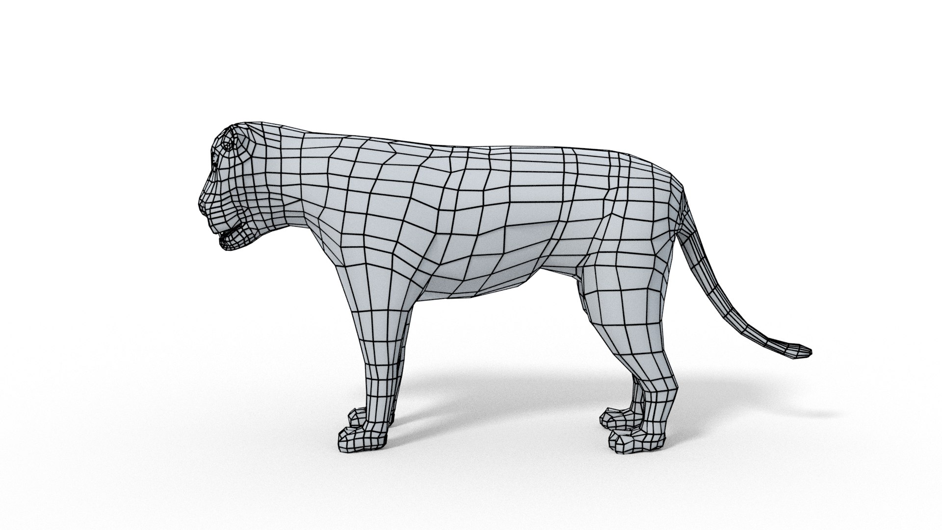 Animal Nature Mammal Model - TurboSquid 1689834