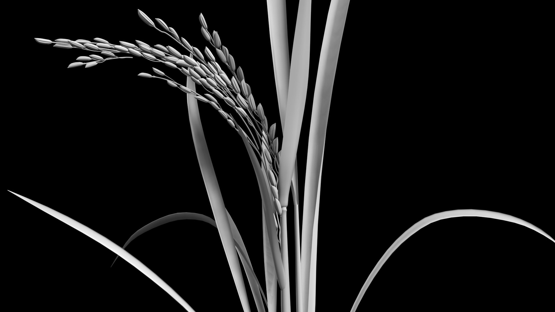 3D PADDY PLANT OPTION 5 - TurboSquid 1855405