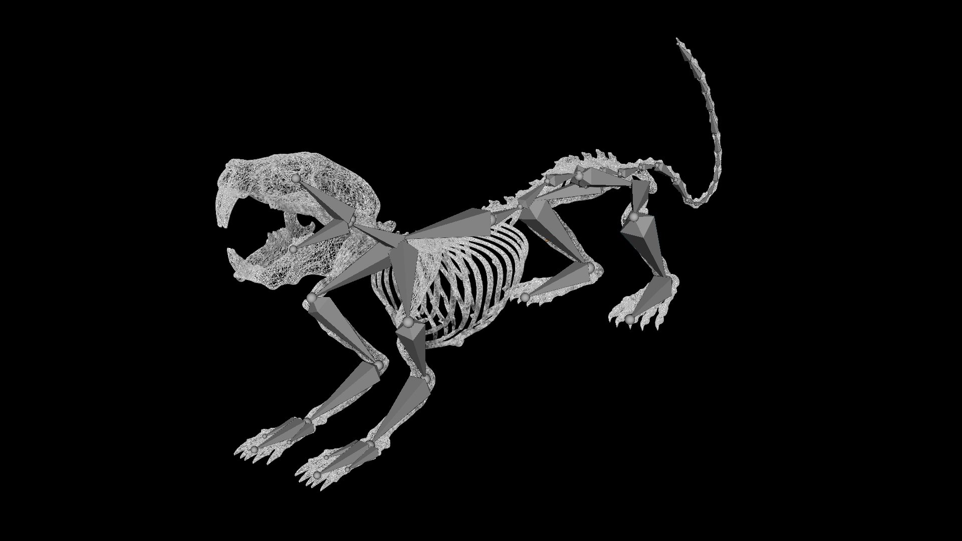 3D Rigged Rat Skeleton Model - TurboSquid 1859081