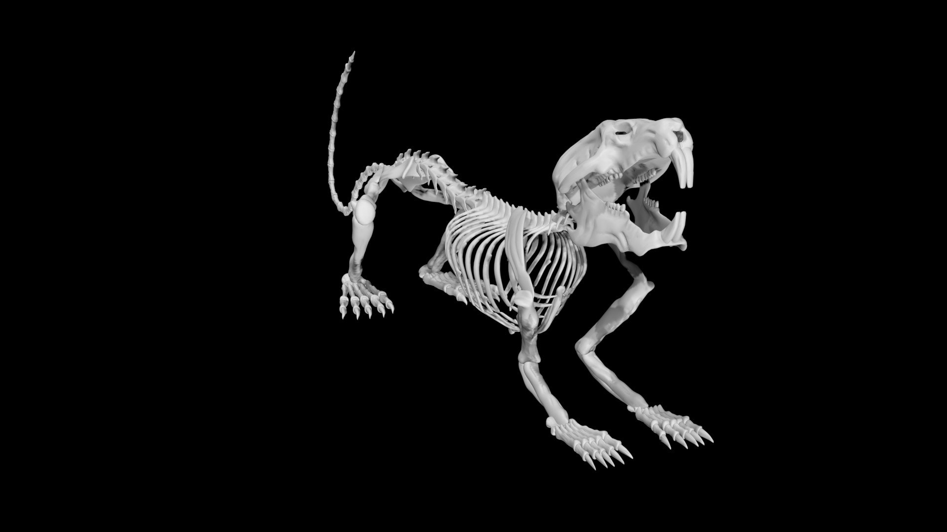 3D Rigged Rat Skeleton Model - TurboSquid 1859081